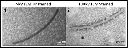 卓上低電圧電子顕微鏡 LVEM 5 Delong Instruments - FITリーディンテックス株式会社