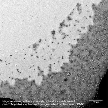 卓上低電圧電子顕微鏡 LVEM 5 Delong Instruments - FITリーディンテックス株式会社
