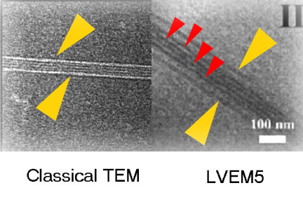 卓上低電圧電子顕微鏡 LVEM 5 Delong Instruments - FITリーディンテックス株式会社