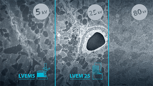 卓上低電圧電子顕微鏡 LVEM5 Delong Instruments - FITリーディンテックス株式会社